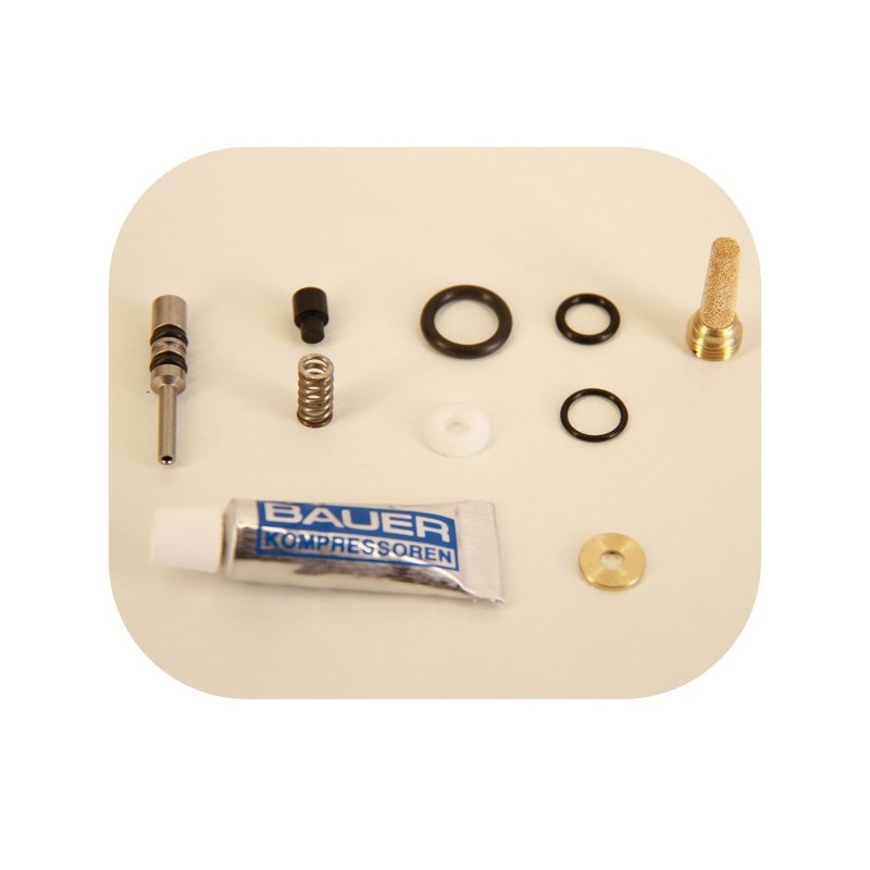 Kit de maintenance réf N5052 Bauer